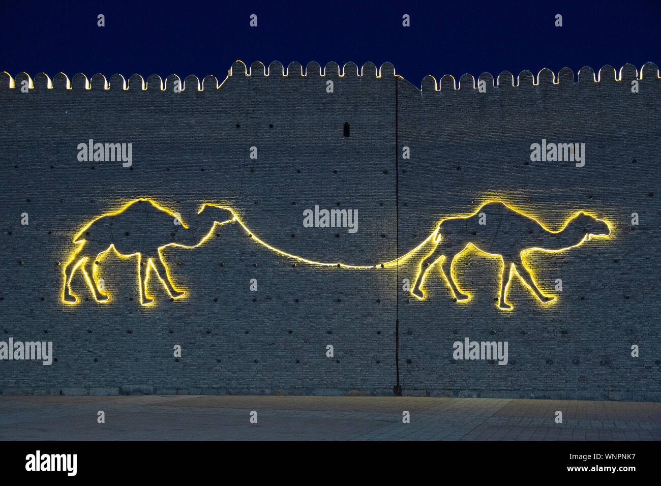 Two camels hi-res stock photography and images - Alamy