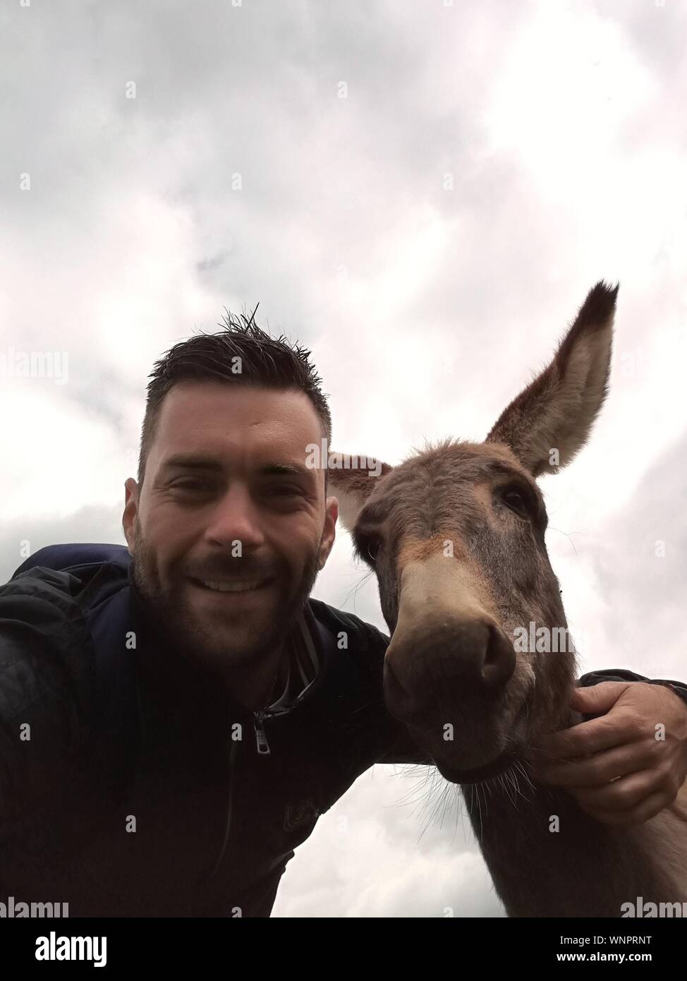 Donkey smiling hi-res stock photography and images - Alamy