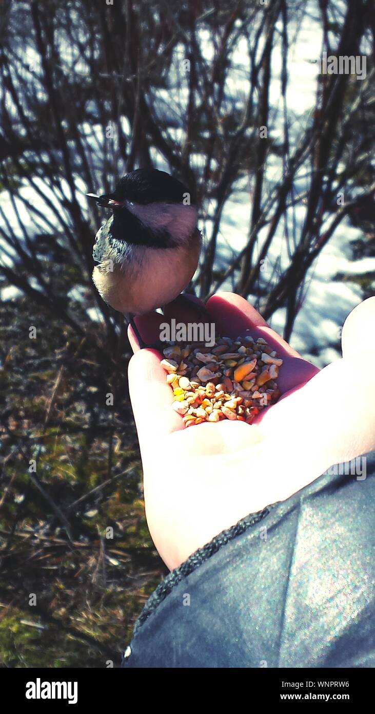 Giving the bird hi-res stock photography and images - Alamy