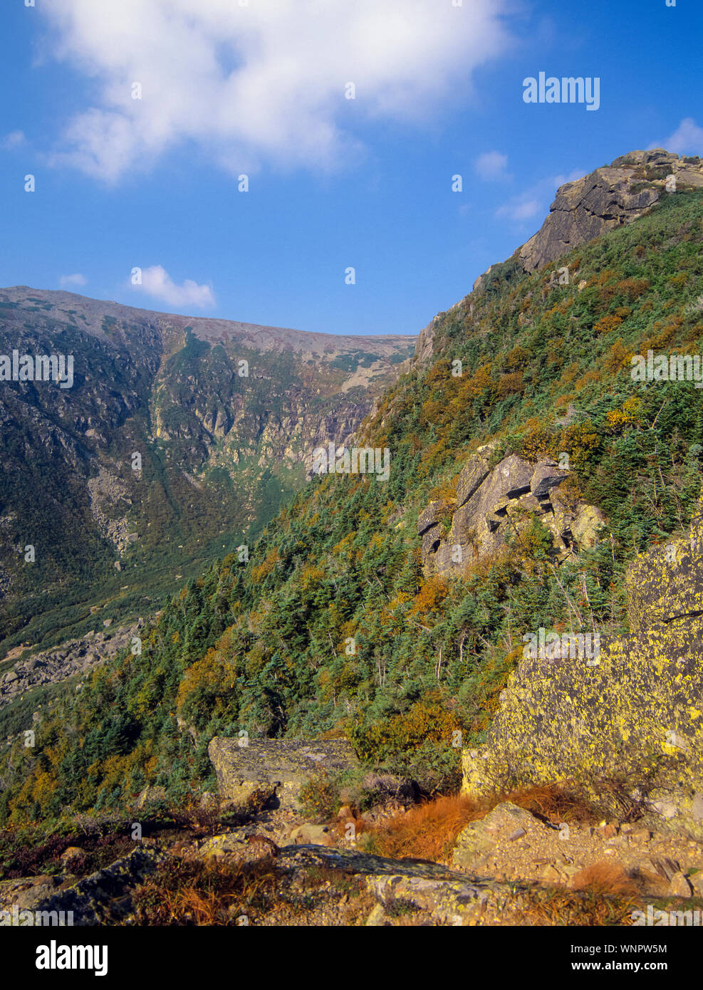 Tuckerman Ravine from Lion Head Trail in Sargent's Purchase in the New ...