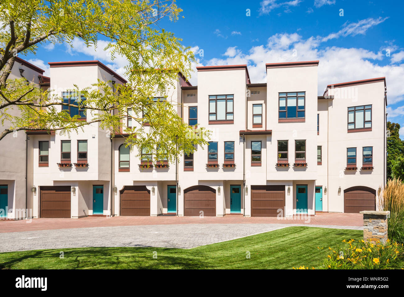 Residential townhouses with decorative acacia tree in front Stock Photo ...