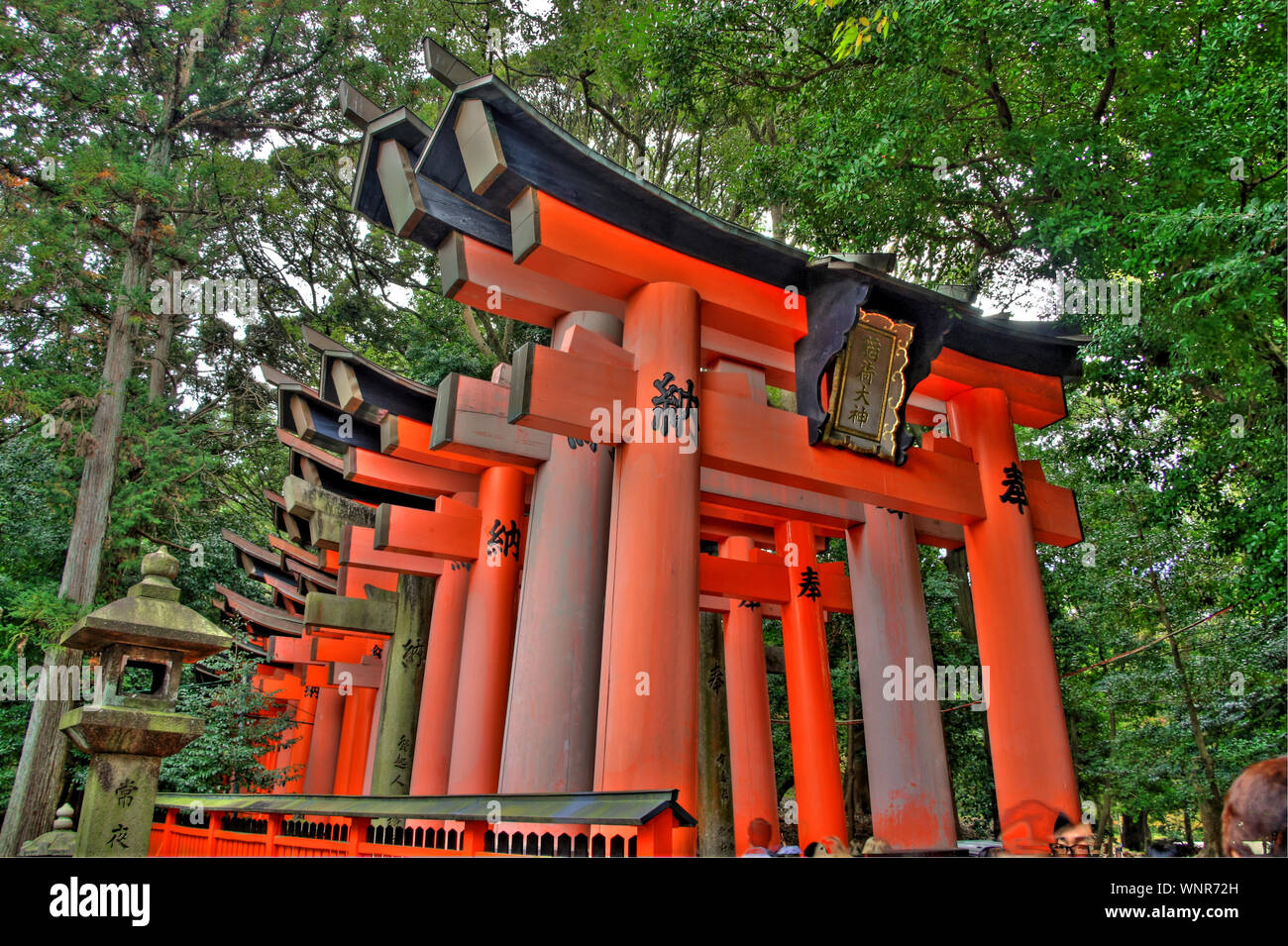 Fushimi Inari Shrine Torii Gate in Forest in Kyoto, Japan Stock Photo ...
