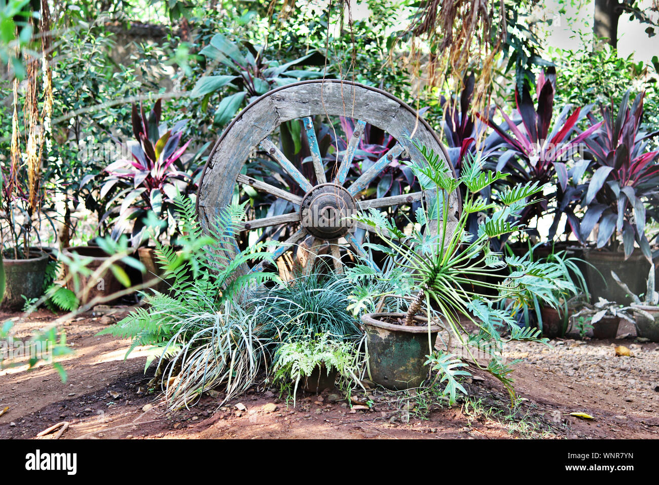Wagon Wheel Amidst Plants In Yard Stock Photo - Alamy
