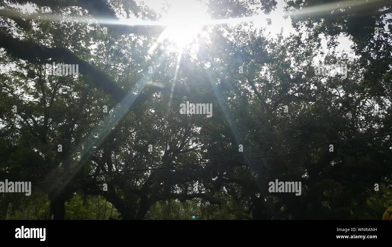 Solar canopies hi-res stock photography and images - Alamy