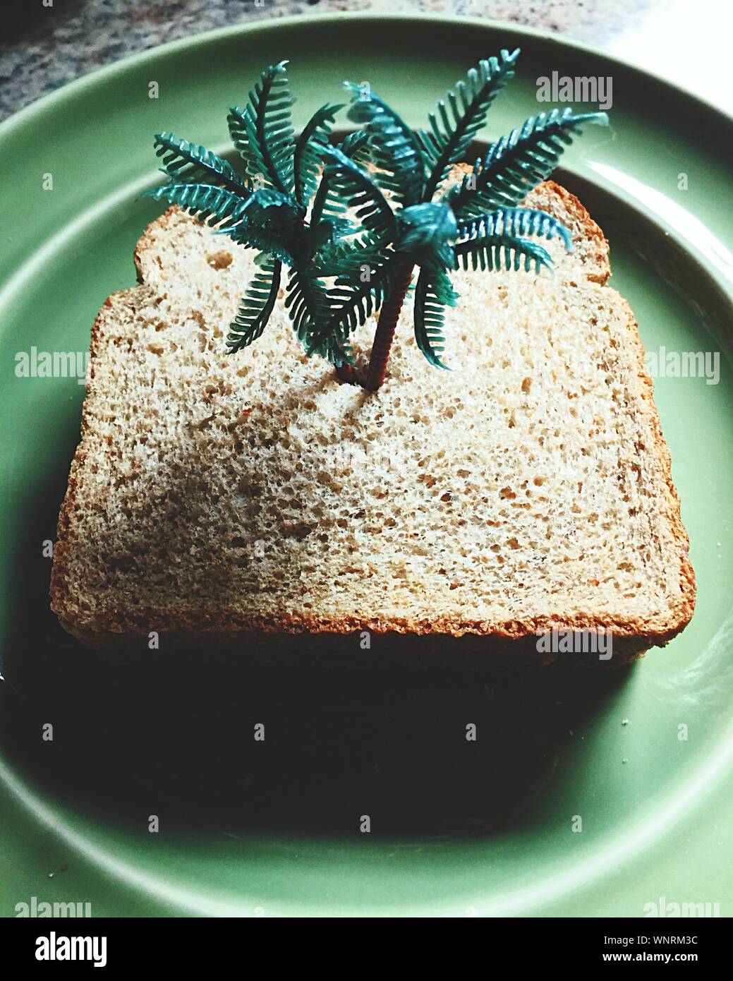 Plate tree hi-res stock photography and images - Alamy