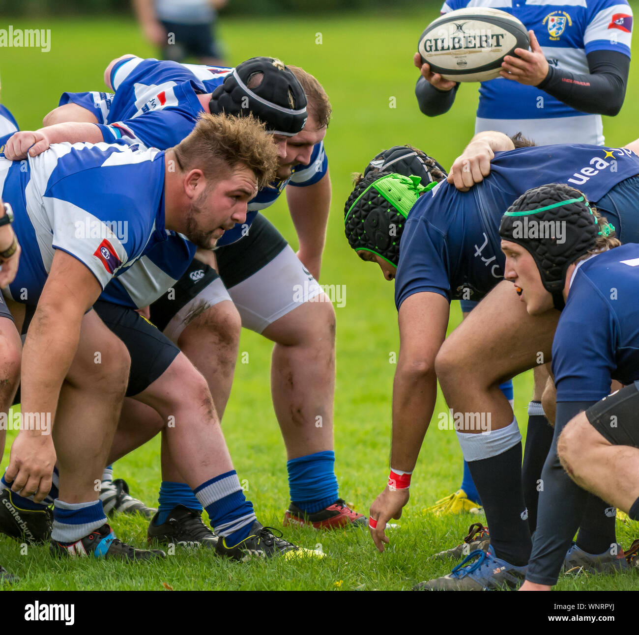 Rugby scrum hi-res stock photography and images - Alamy