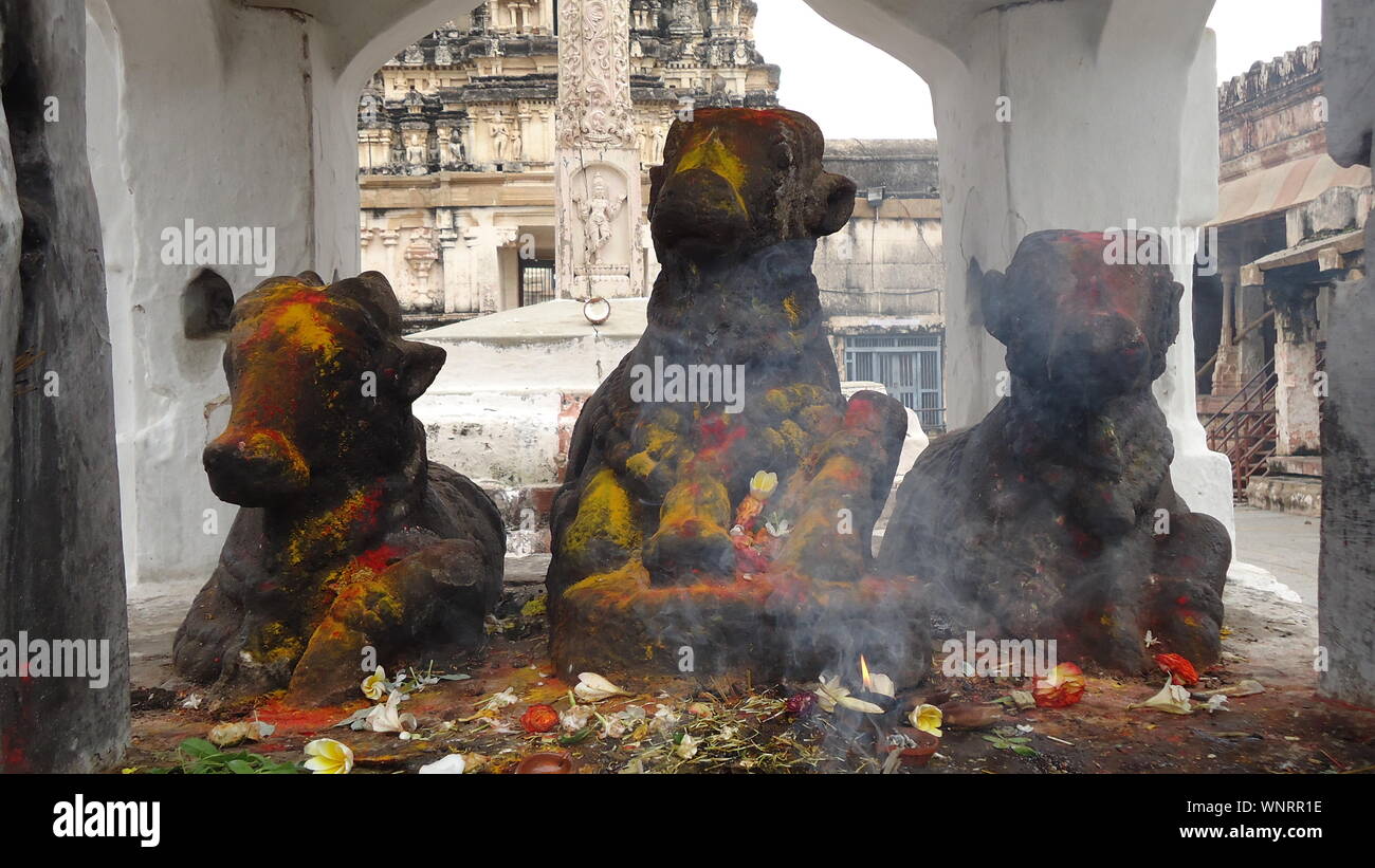 Nandi people hi-res stock photography and images - Alamy