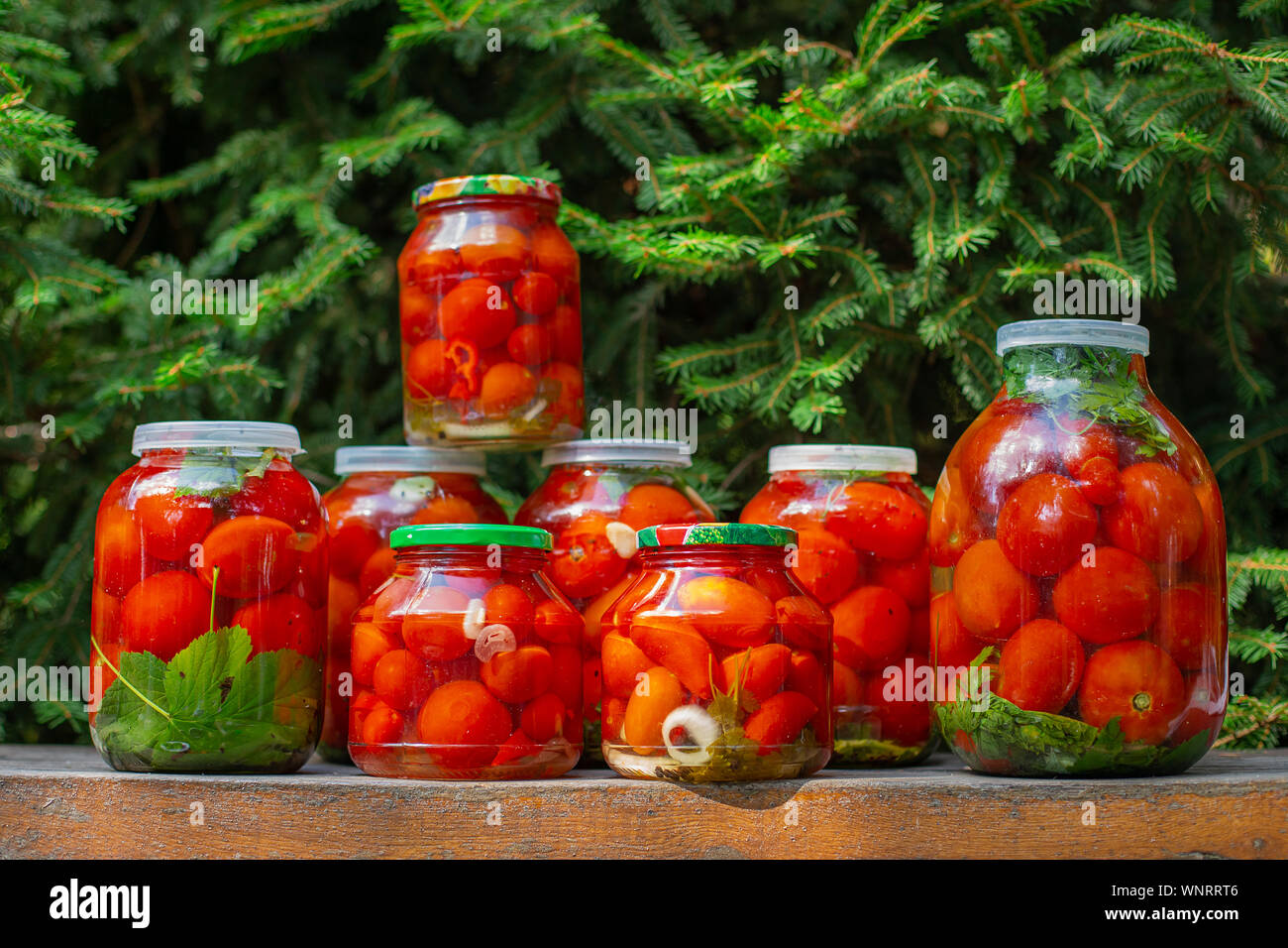 Production of canned tomatoes in the jar. Processing your own vegetable ...