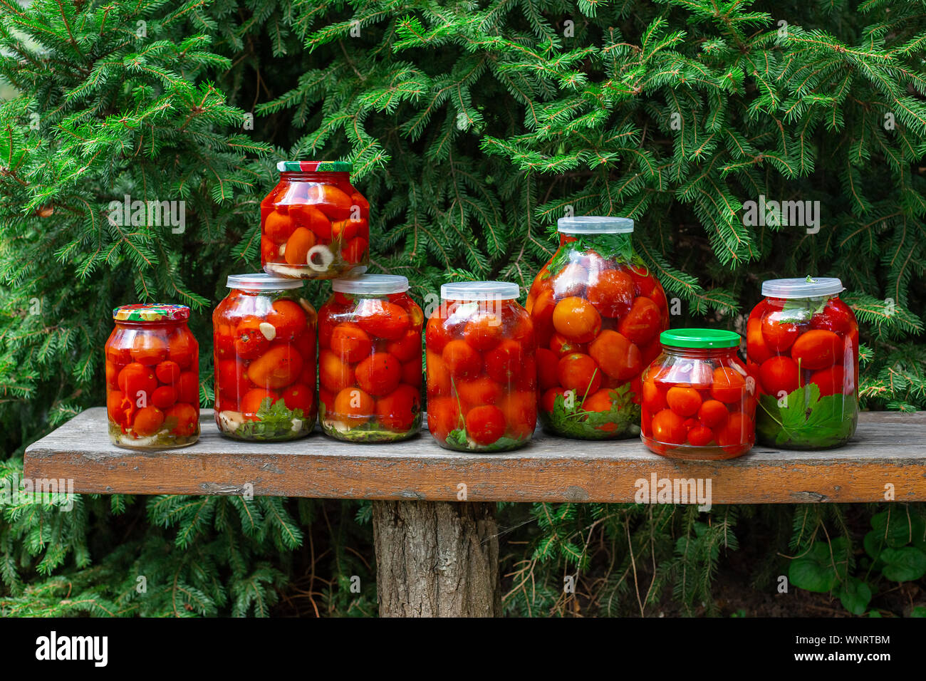 Production of canned tomatoes in the jar. Processing your own vegetable ...