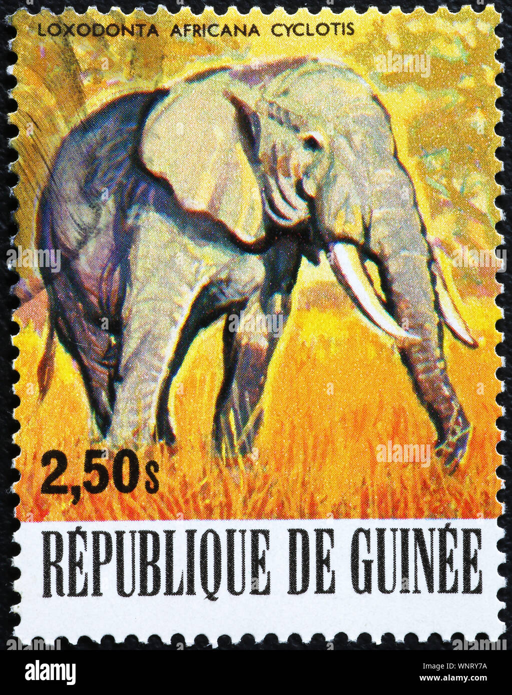 African elephant on stamp of Guinea Stock Photo - Alamy