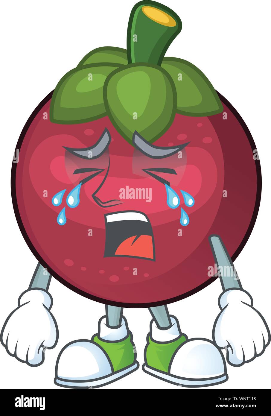 Crying mangosteen fruit cartoon character isolated on mascot Stock ...