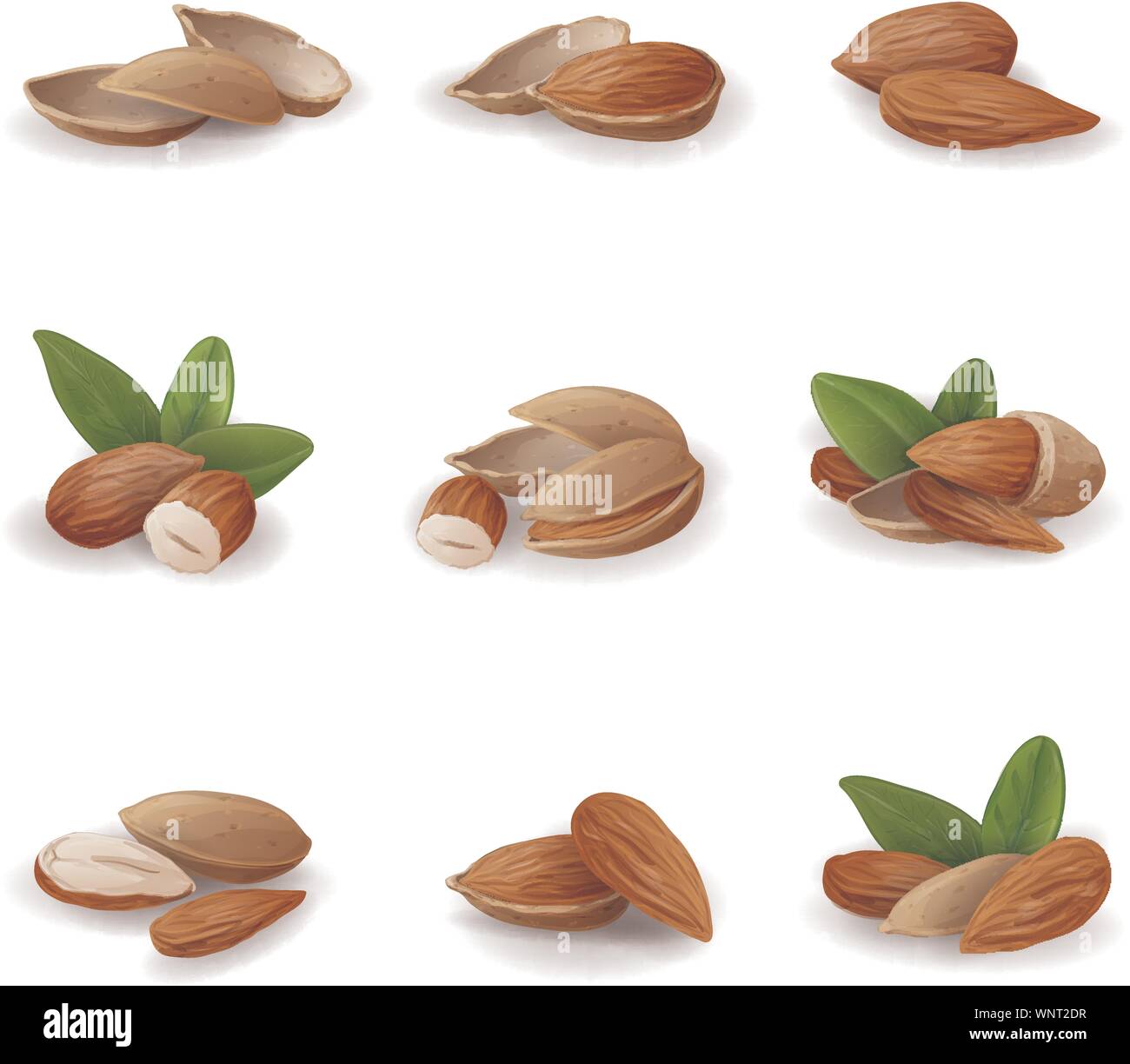 Almond icons set. Cartoon set of almond vector icons for web design ...