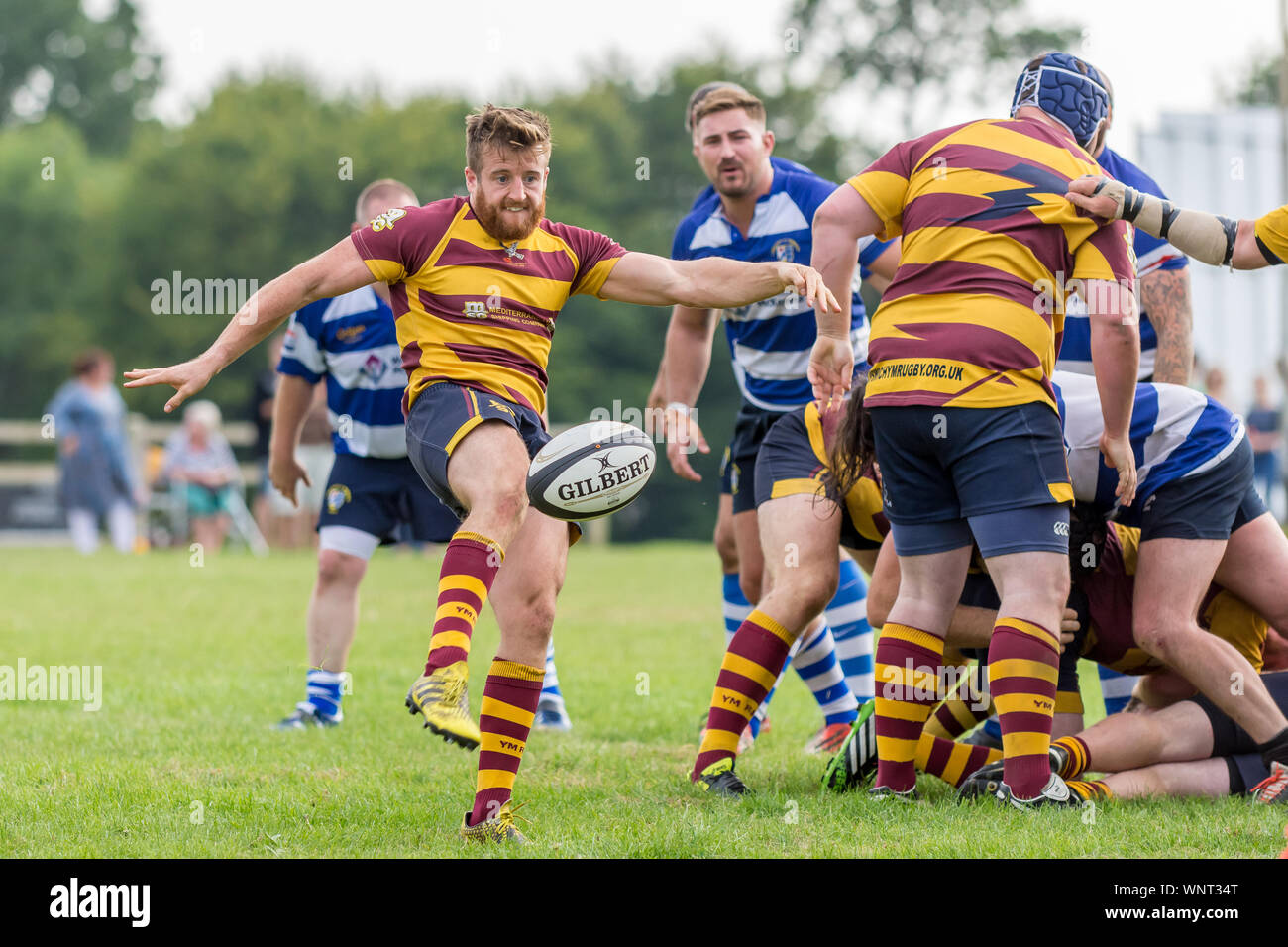 Scrum half ball hi-res stock photography and images - Alamy