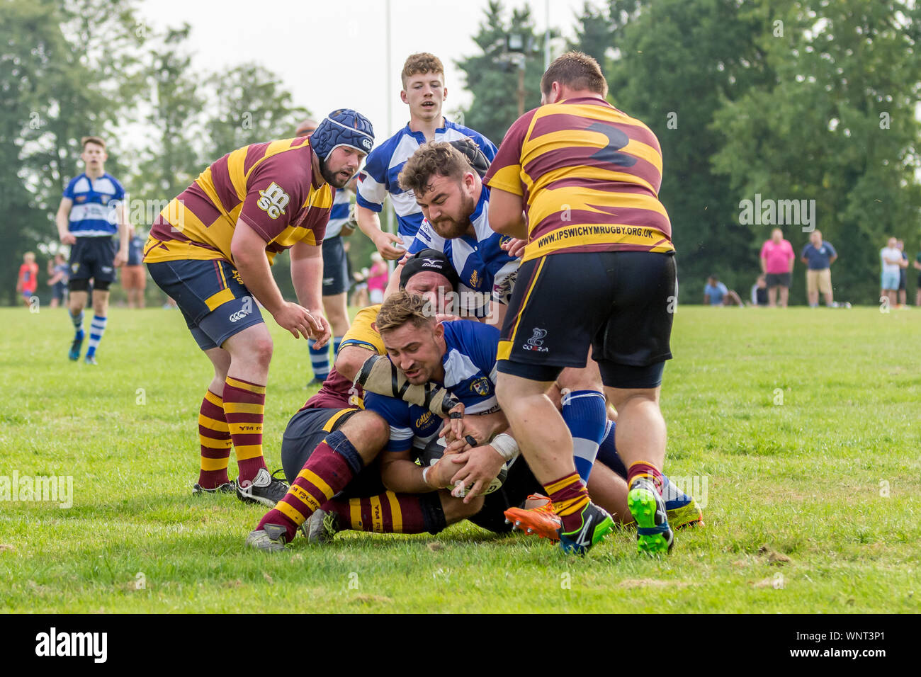Amateur rugby, player in blue dives for the try line to score with a ...
