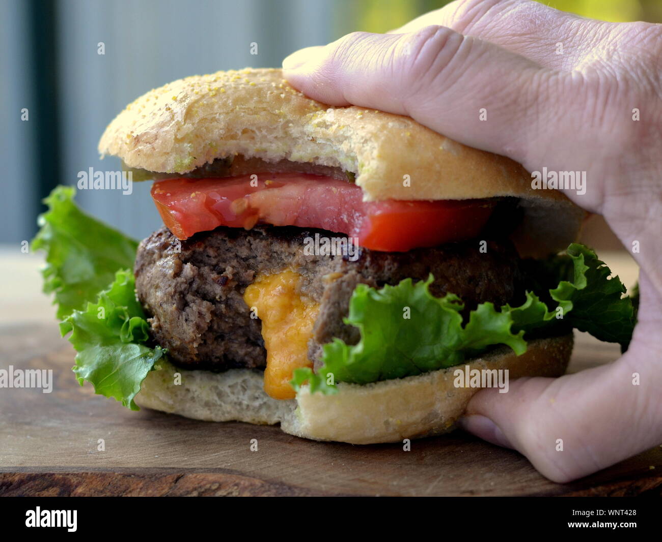 Hand holding hamburger meat lettuce hi-res stock photography and images ...
