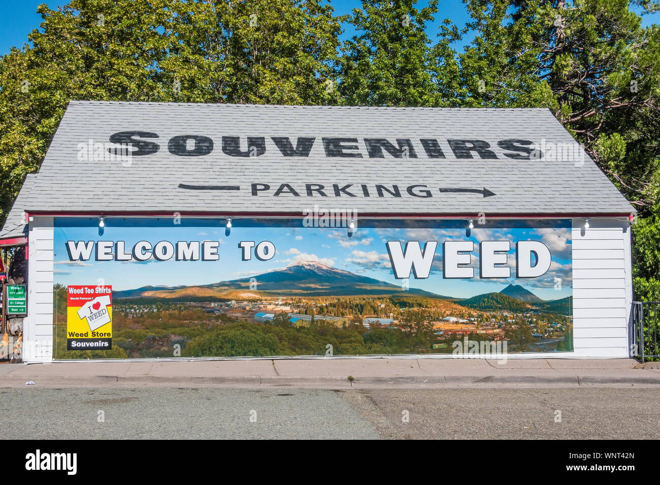 A large building in Weed California with a painted mural of the local ...