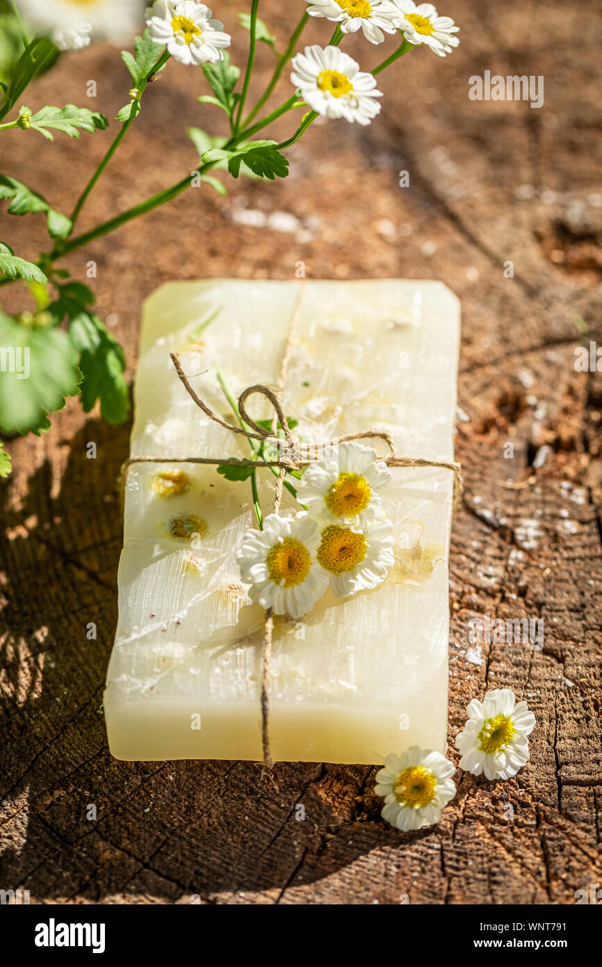 Ecological soaps hi-res stock photography and images - Alamy