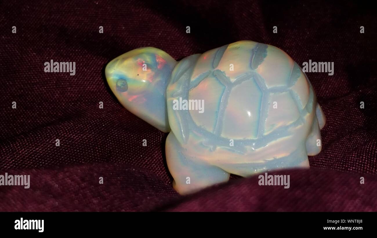 Turtle sculpture hi-res stock photography and images - Alamy