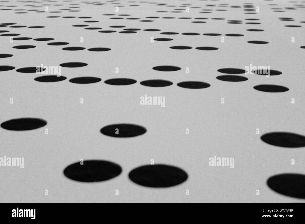 Full spotted hi-res stock photography and images - Alamy