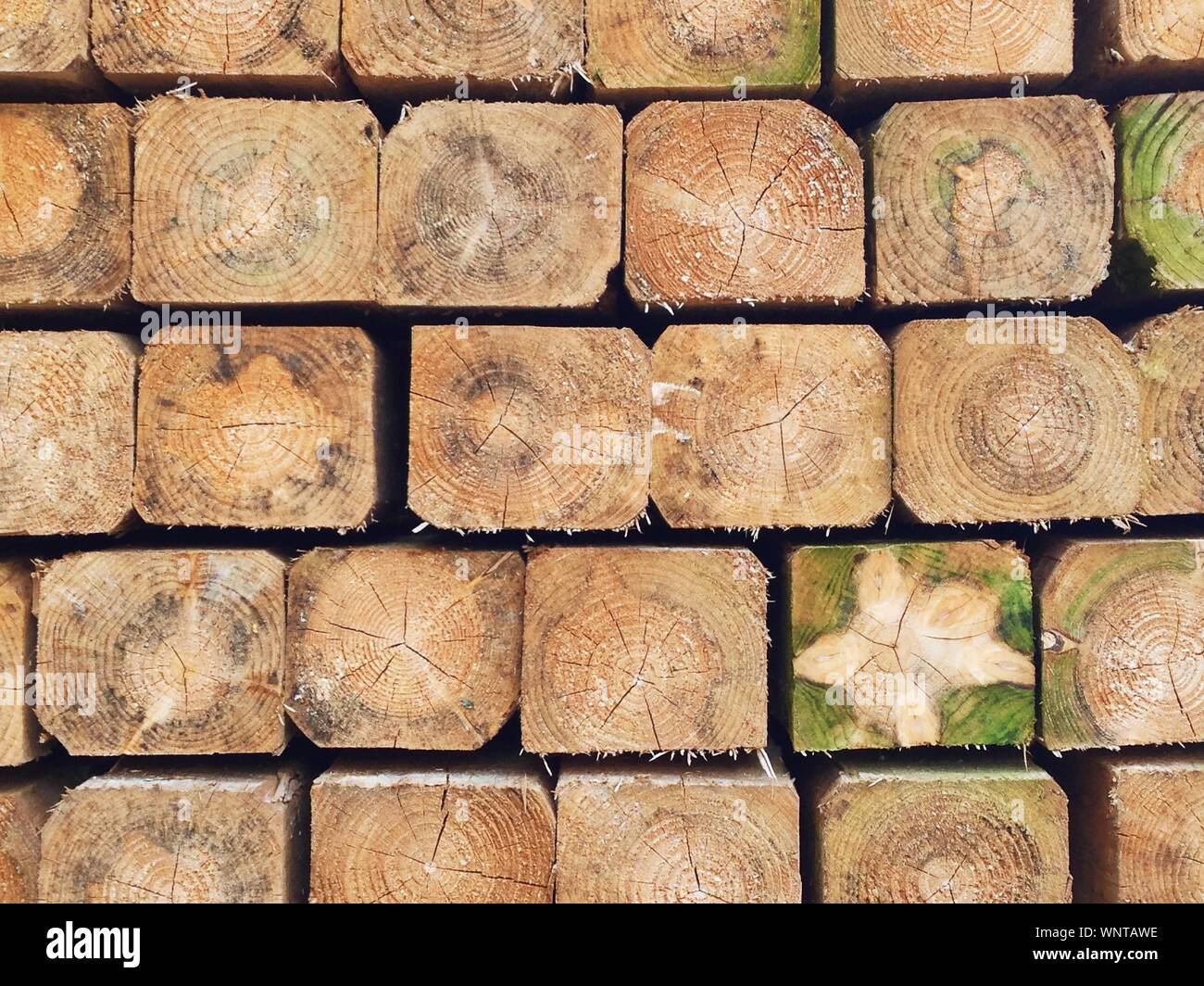 Log timber arrangement logs hi-res stock photography and images - Alamy