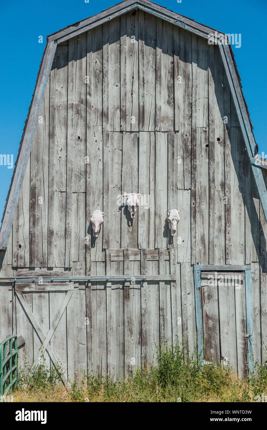 Hanging on side of building hi-res stock photography and images - Alamy