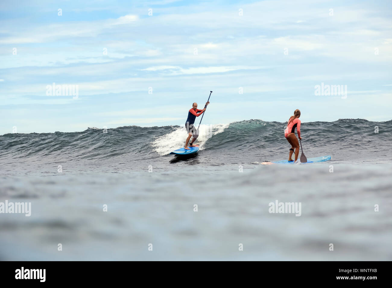 Two sup surfers in ocean Stock Photo - Alamy