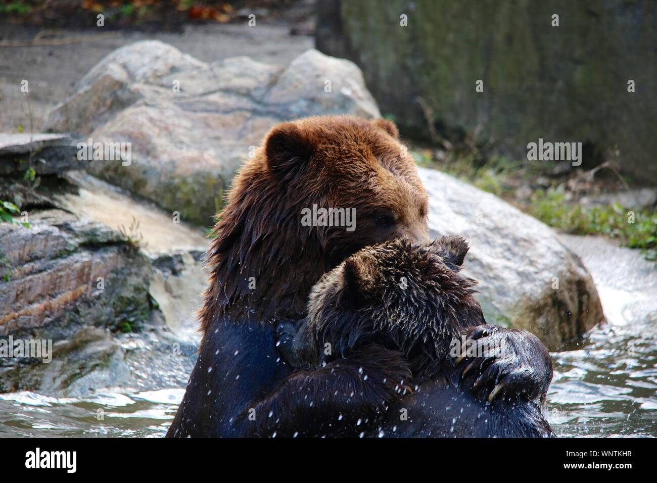 Hugging in the water hi-res stock photography and images - Alamy