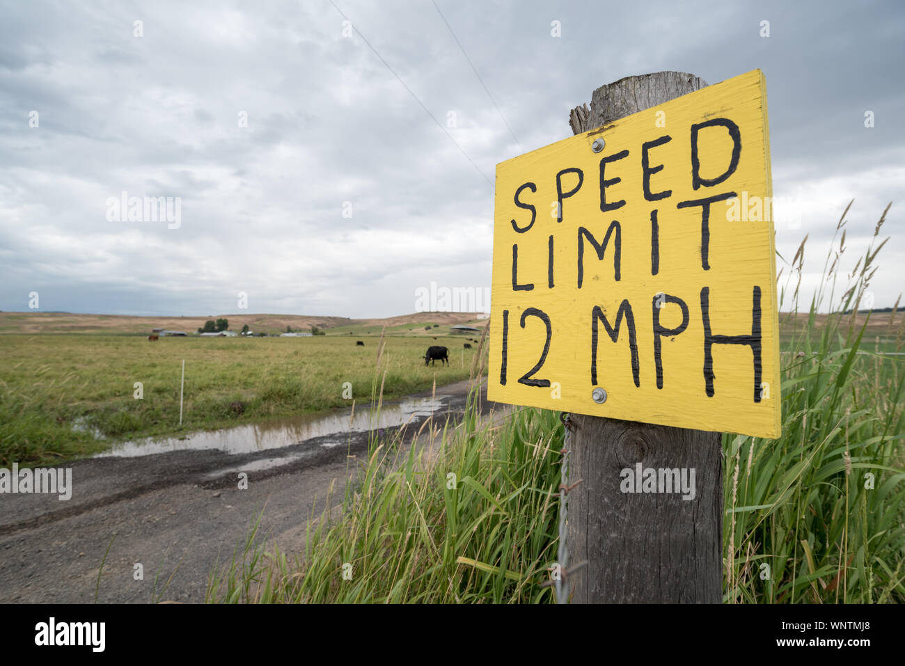 Speed limit 12MPH sign on a ranch road in Oregon's Wallowa Valley Stock ...