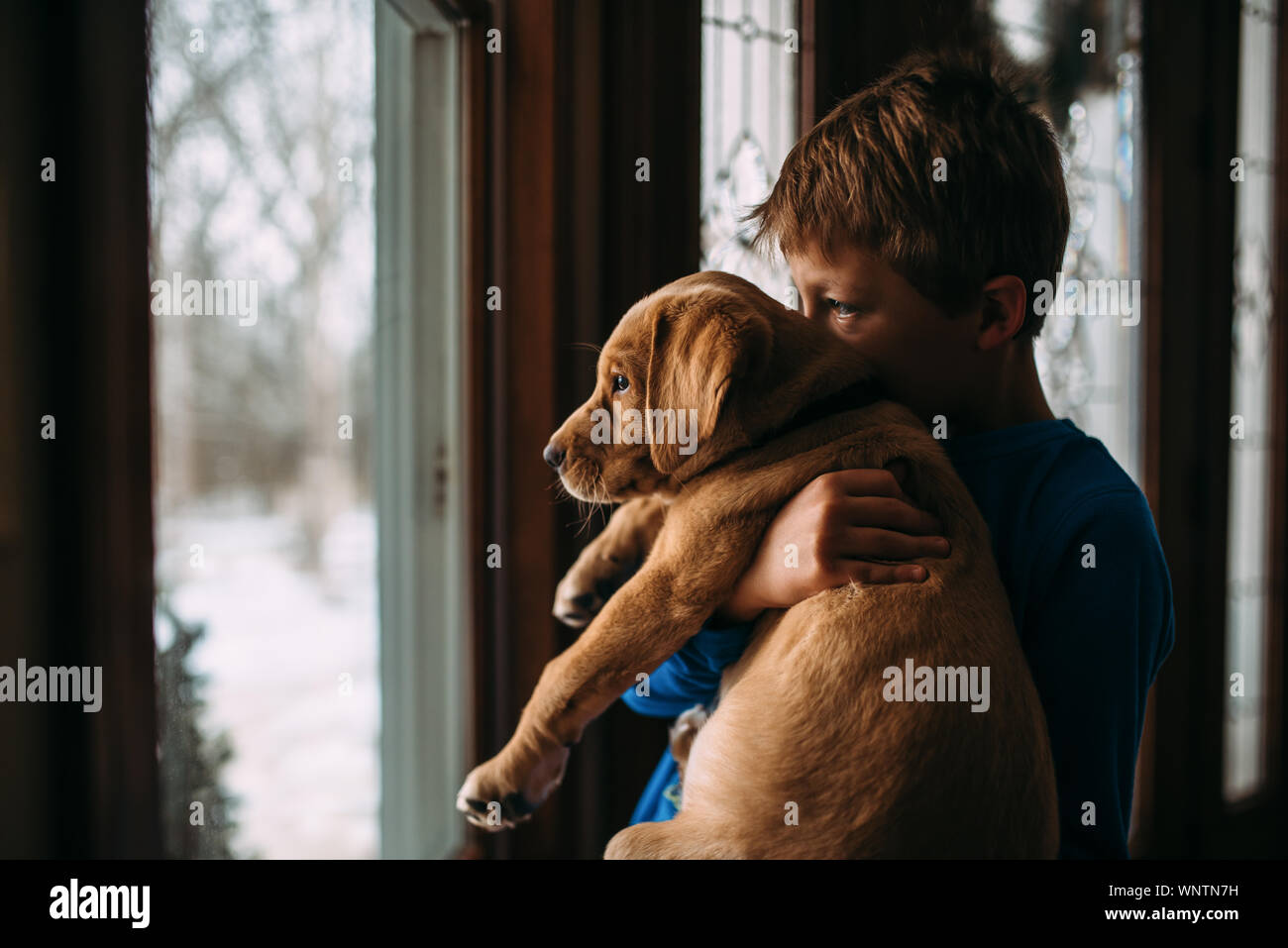 Young boy holding yellow lab puppy looking out window at snow Stock ...
