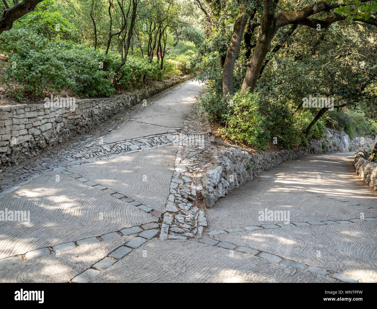 Diverging path hi-res stock photography and images - Alamy