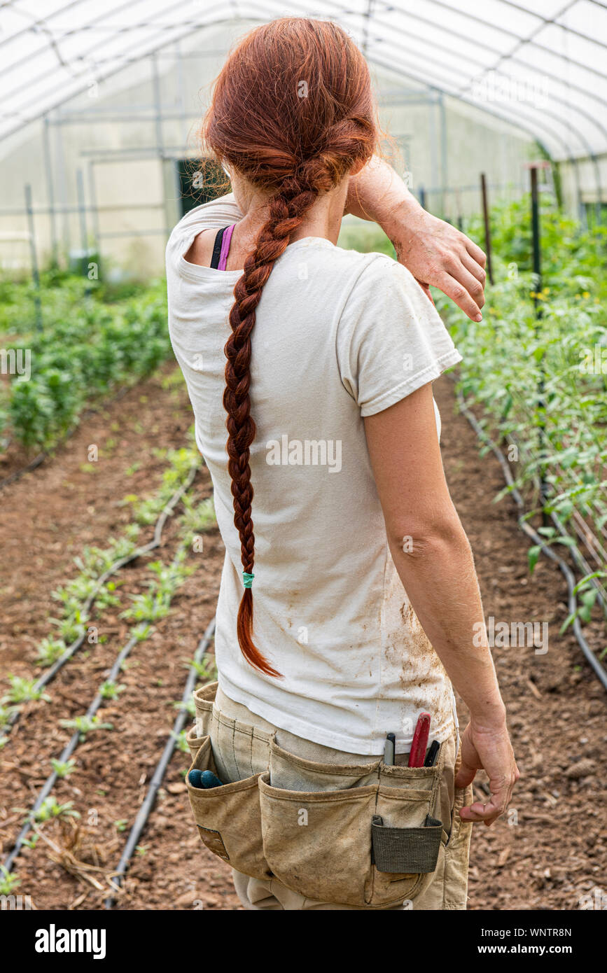 Georgia farm farming agriculture hi-res stock photography and images ...