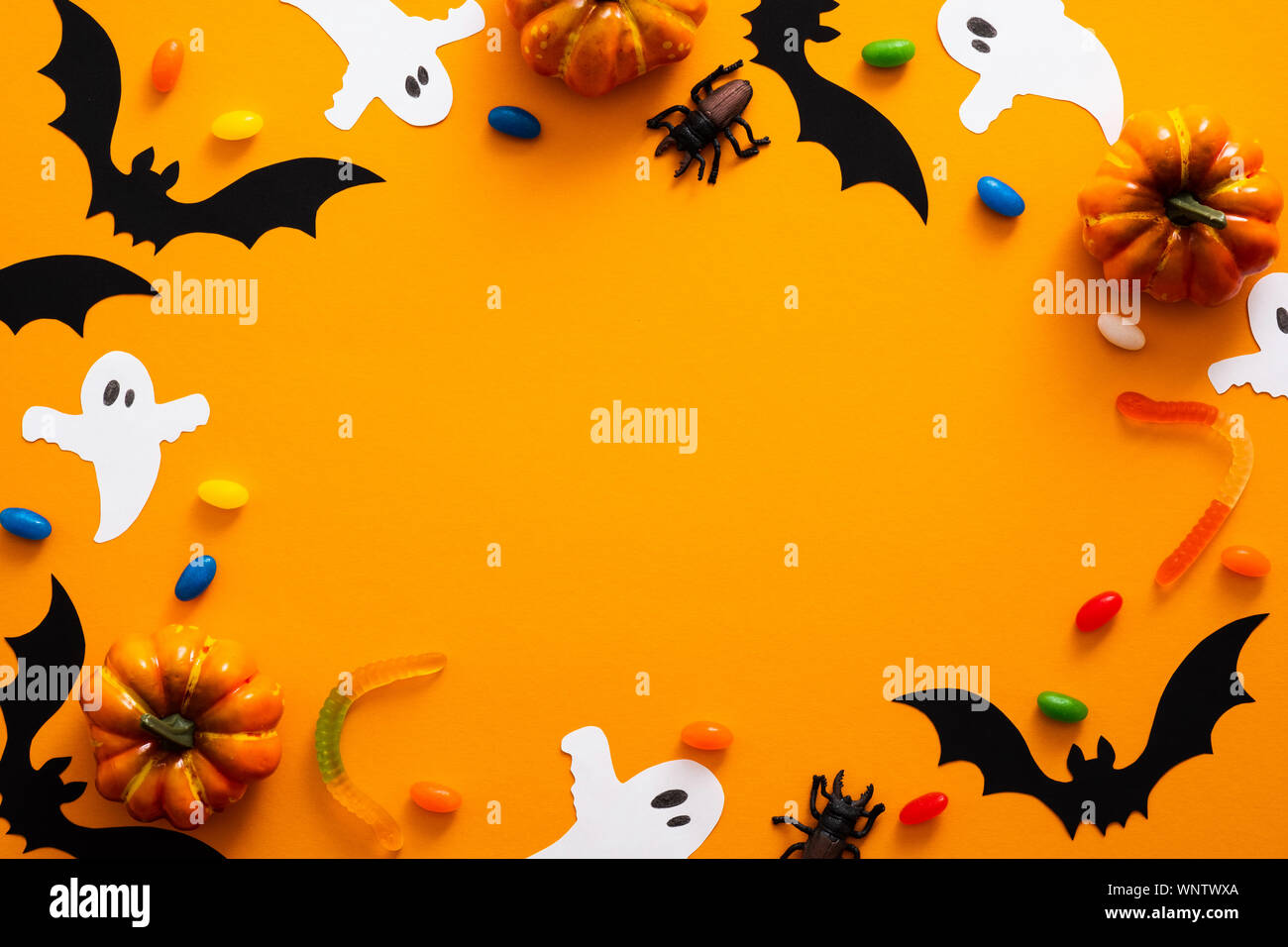 Scary bugs hi-res stock photography and images - Alamy