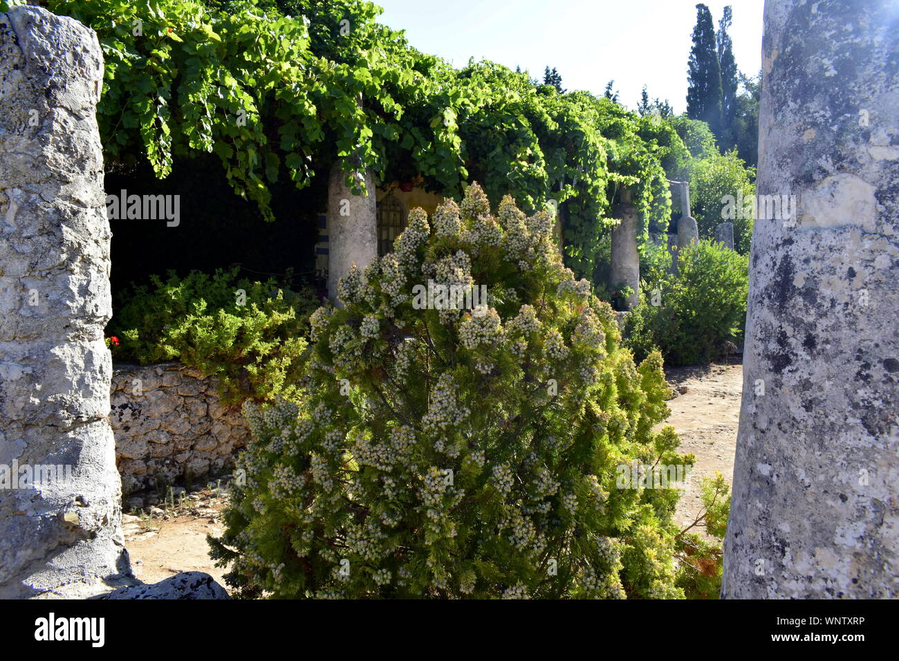 Anafonitria monastery hi-res stock photography and images - Alamy