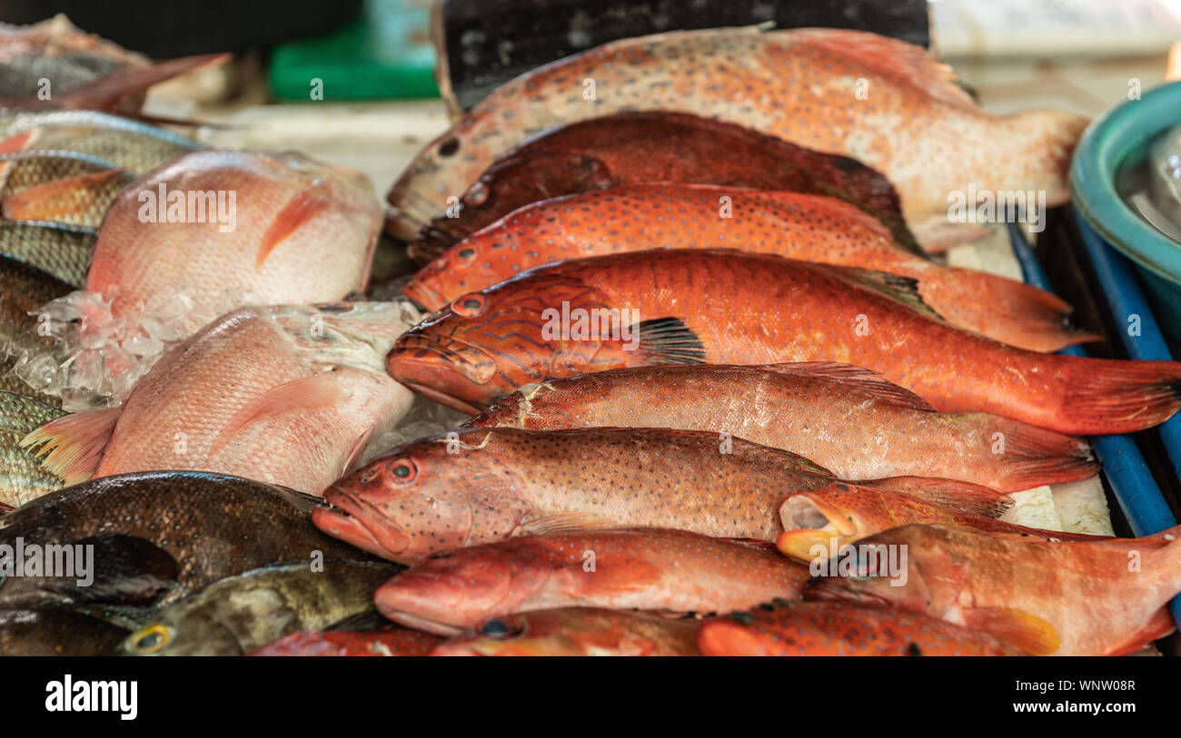 Balabag, Boracay Island, Philippines - March 4, 2019: Closeup of red ...
