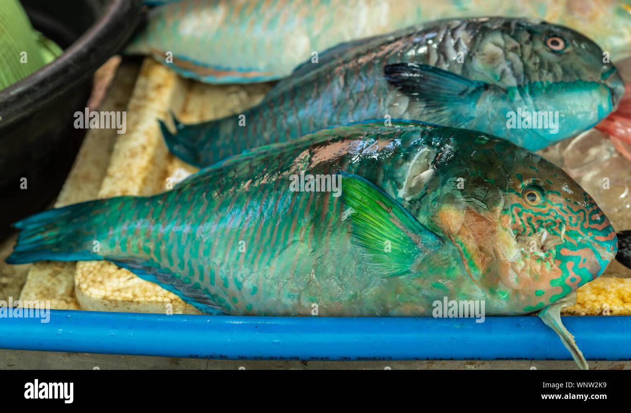 Balabag, Boracay Island, Philippines - March 4, 2019: Closeup of green ...