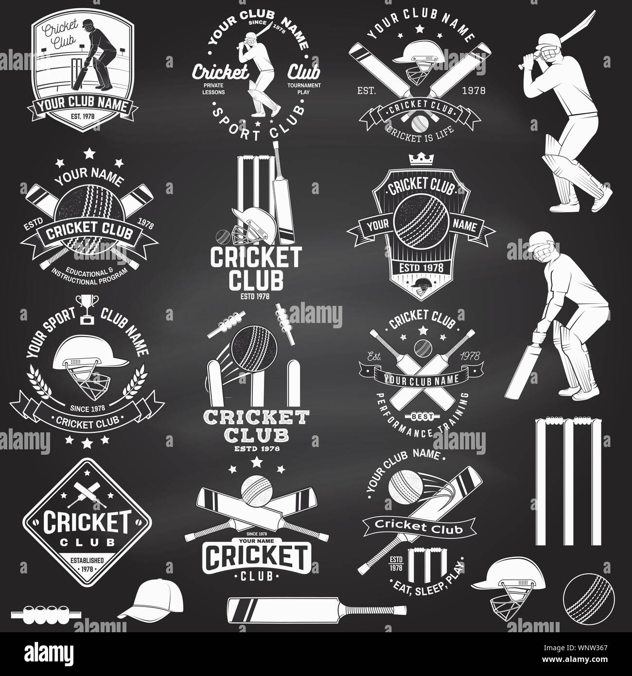 Set of cricket club badges on the chalkboard. Vector illustration ...