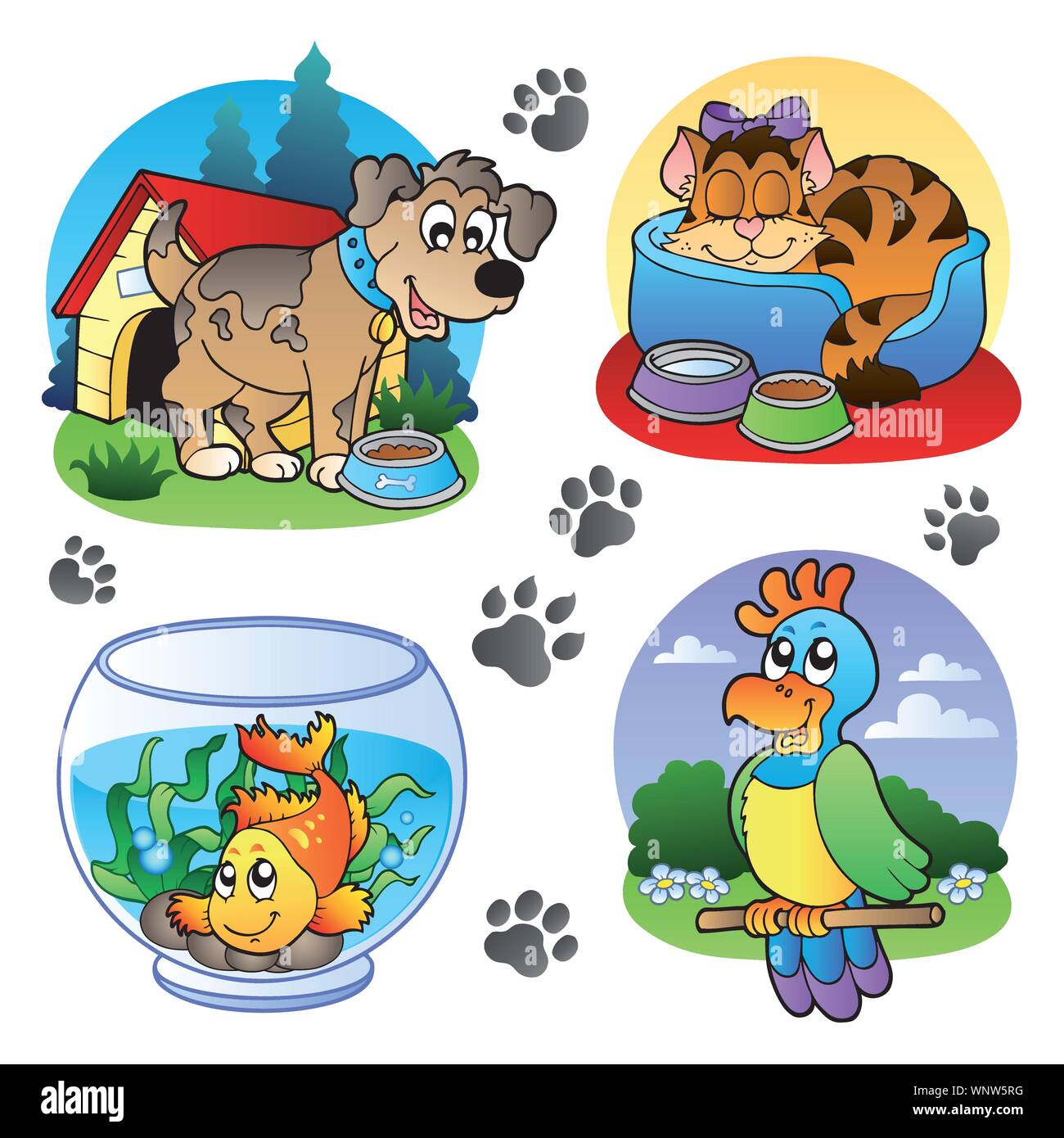 Various pets images 1 Stock Vector Image & Art - Alamy