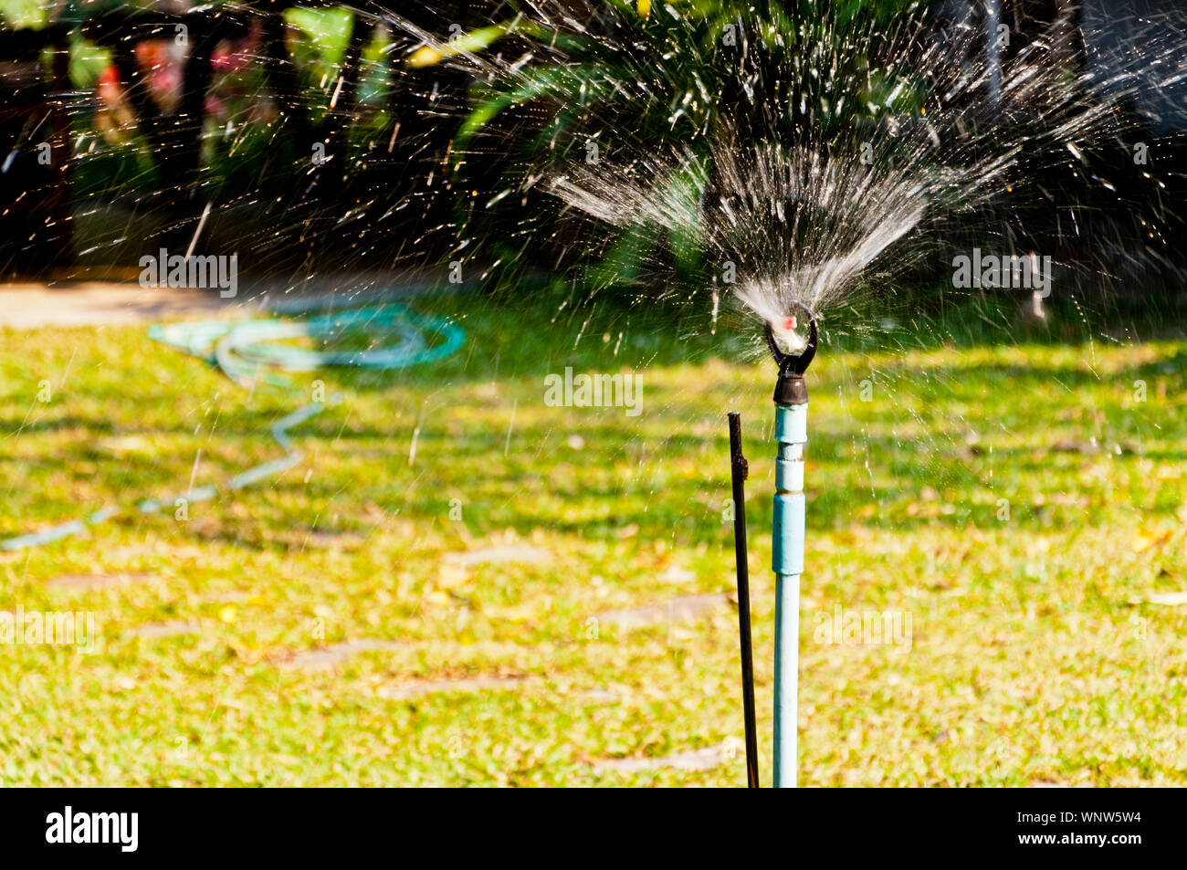 Sprinkler sprinkling hi-res stock photography and images - Alamy