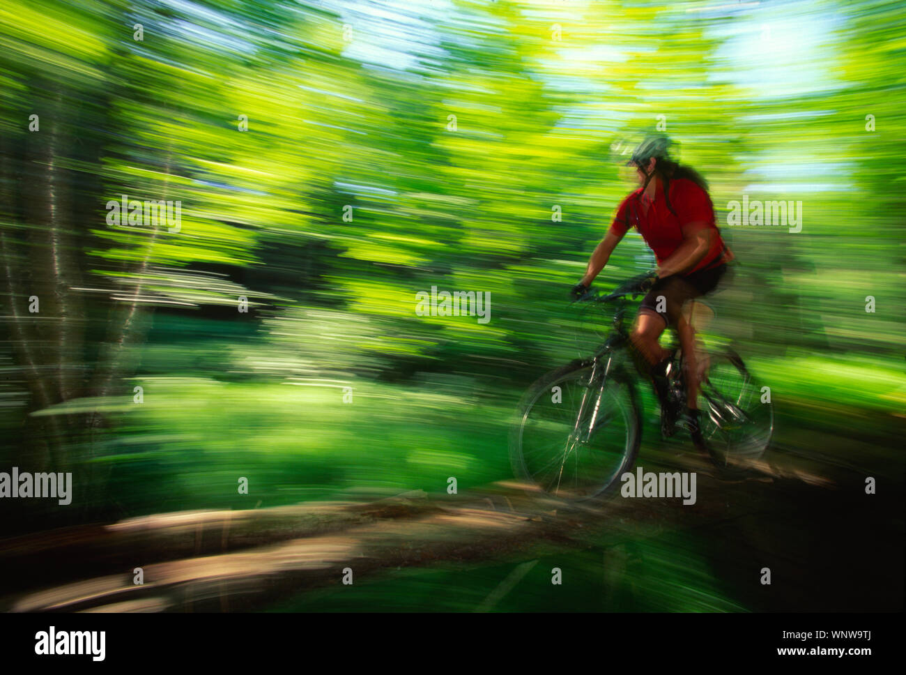 Motion blur shot of a young man mountain biking through a green forest ...