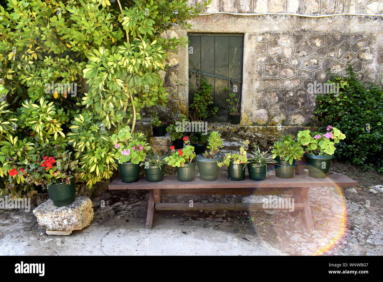 Monastery, "Anafonitria", yard, flowers, Byzantine, Orthodox, religion ...