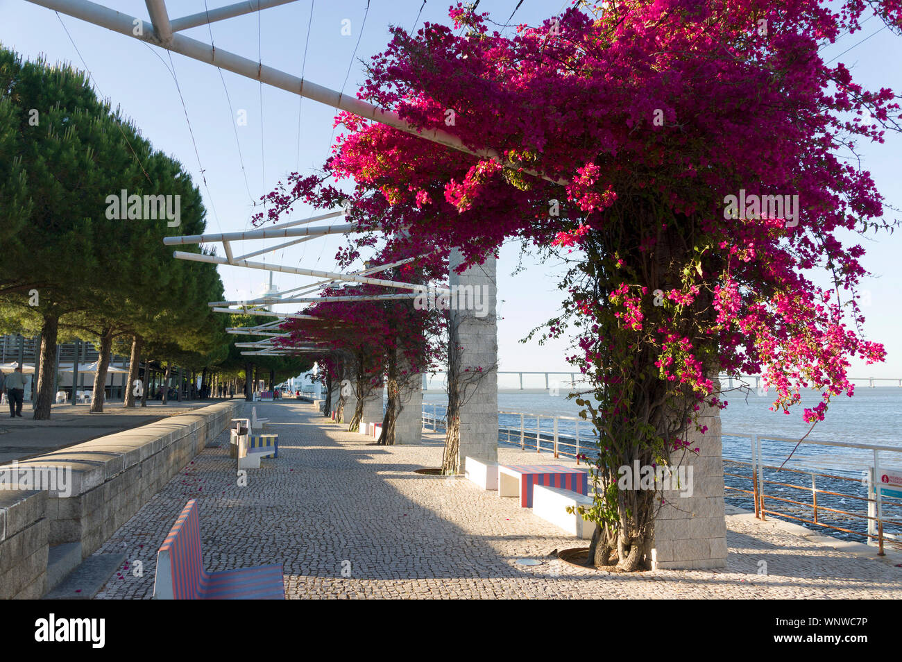 Narrow pathway hi-res stock photography and images - Alamy