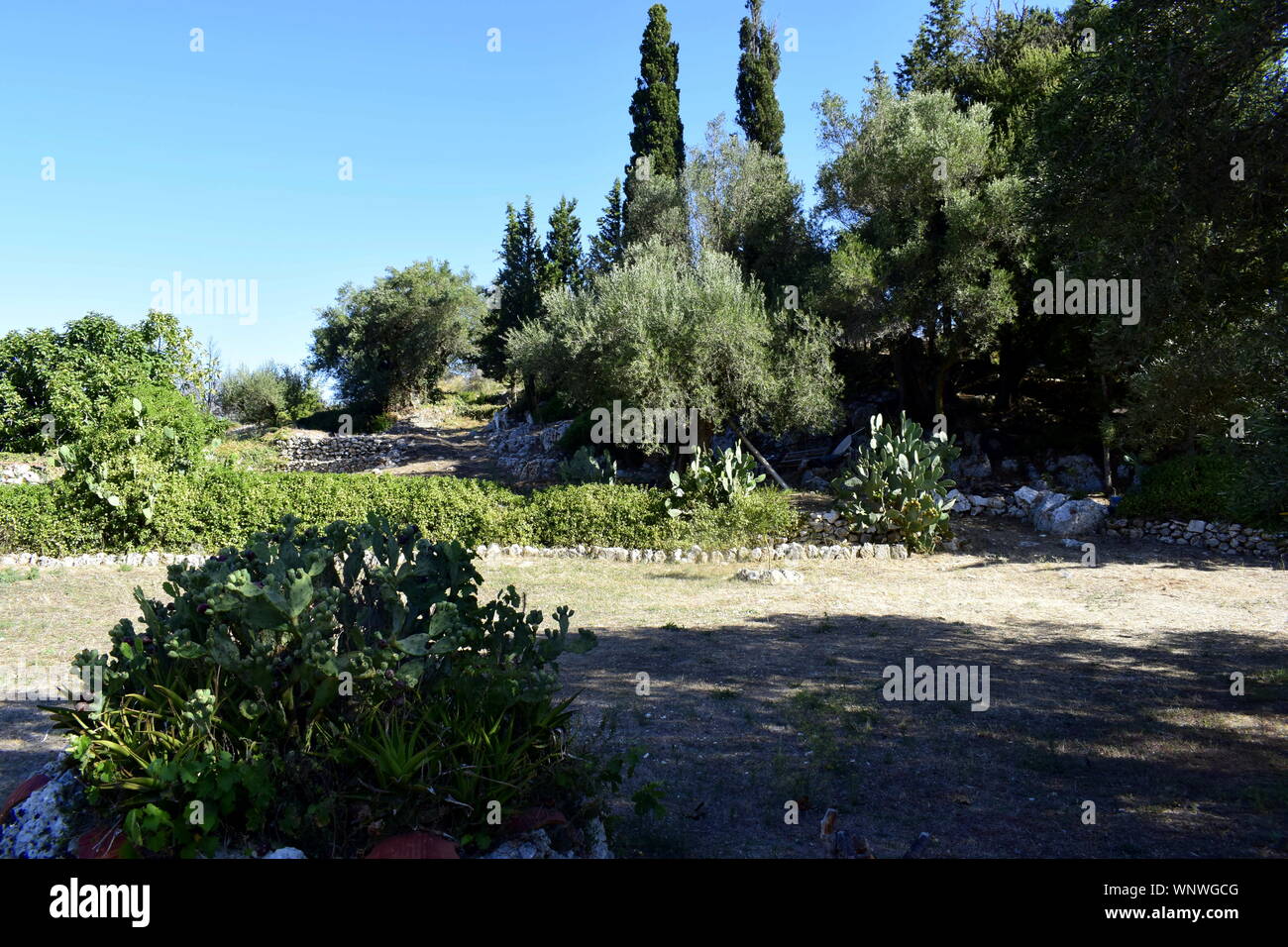 Monastery, "Anafonitria", yard, flowers, Byzantine, Orthodox, religion ...