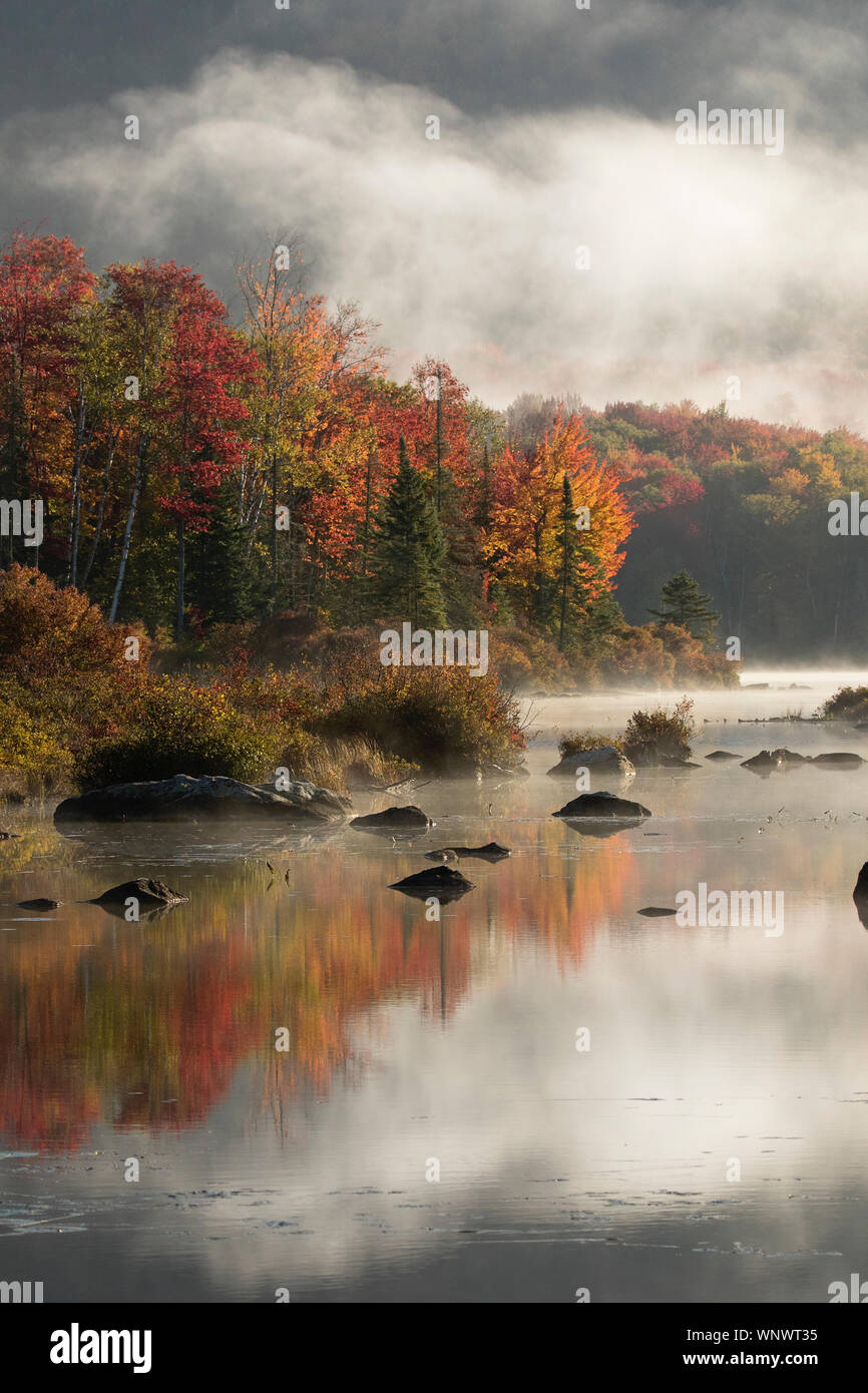 Ponds and foliage hi-res stock photography and images - Alamy