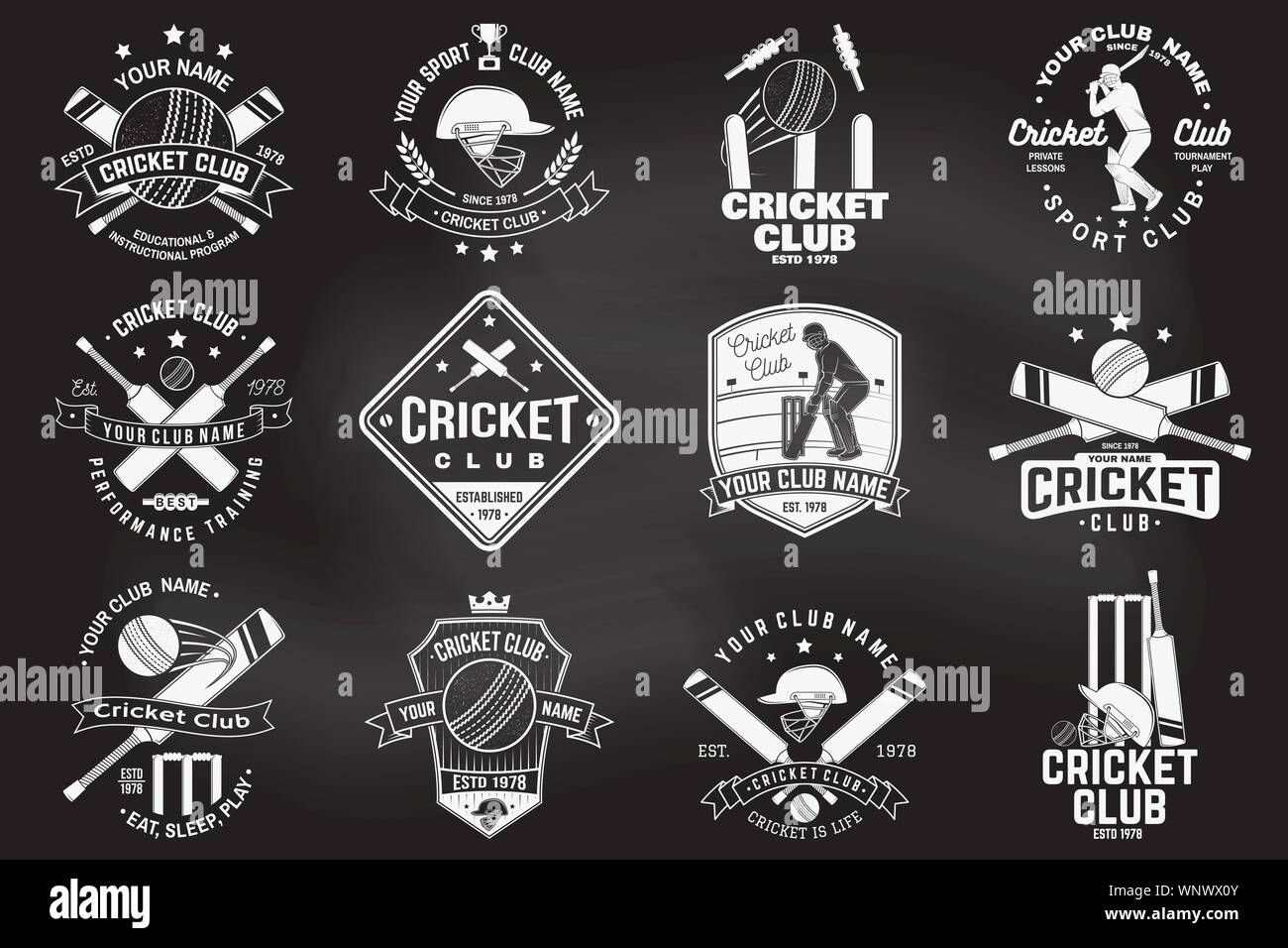 Set of cricket club badges on the chalkboard. Vector illustration ...