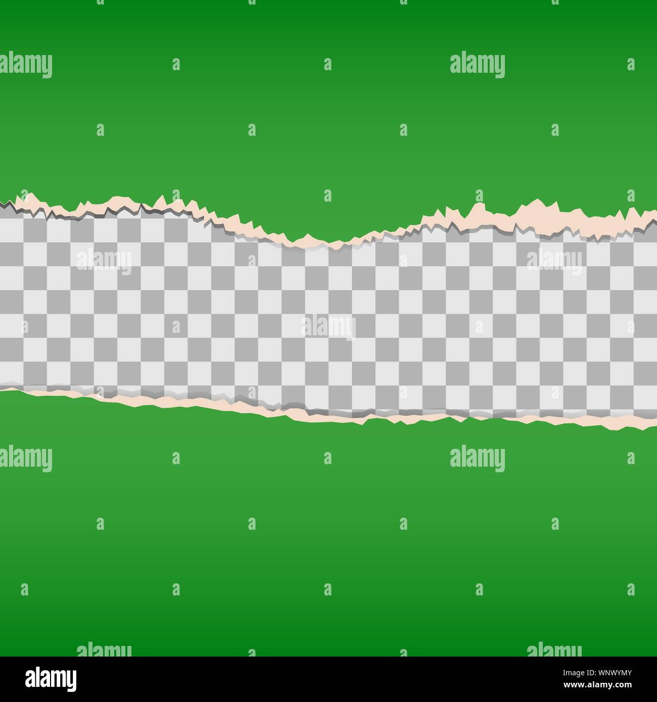 Decorative green torn paper using as background Stock Vector Image ...
