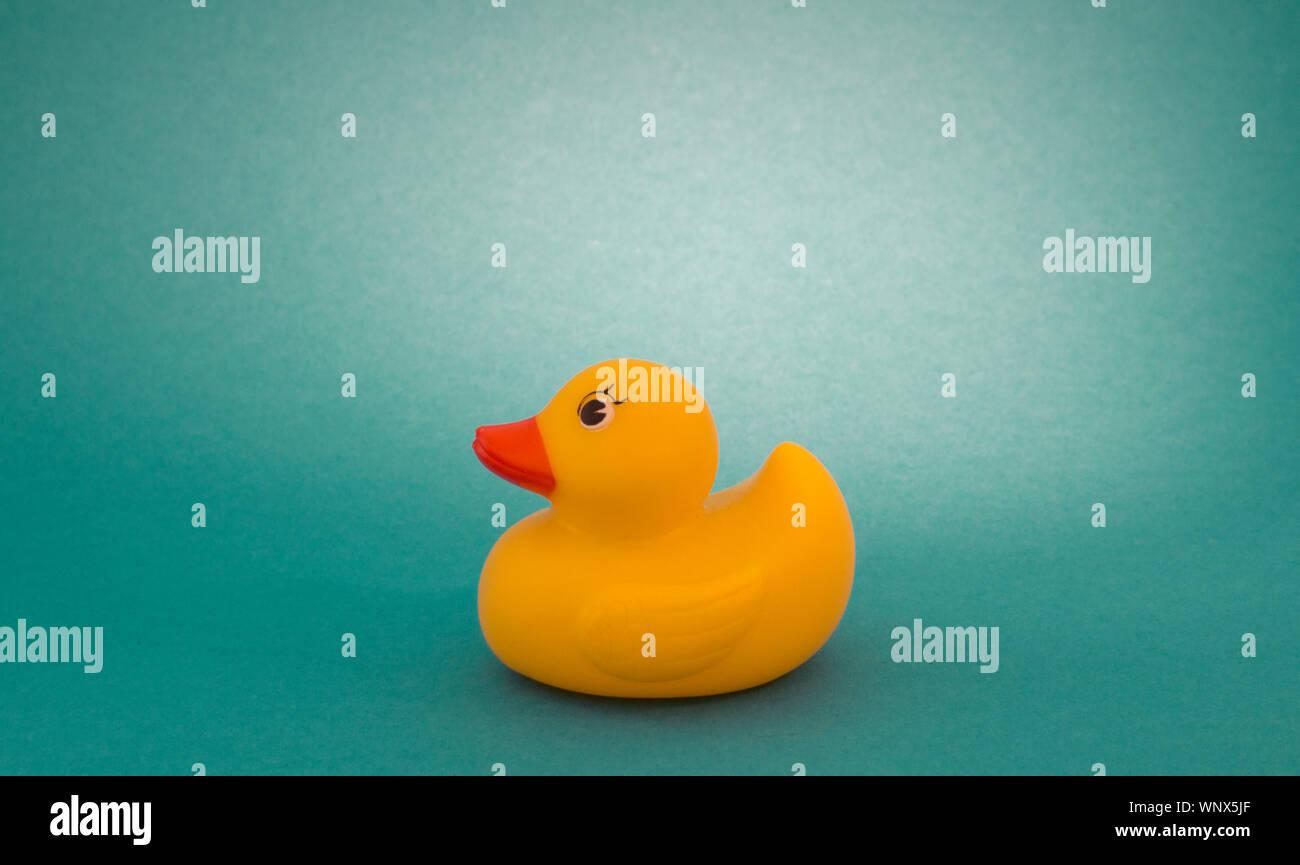 Green rubber duck hi-res stock photography and images - Alamy