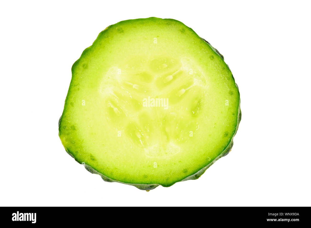 Closeup of single cucumber slice isolated on white background with ...