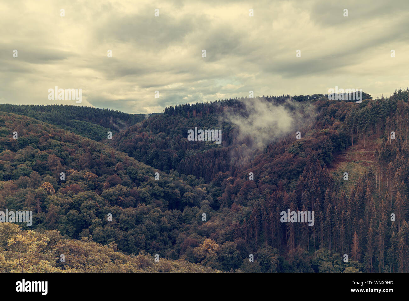 Eifel mountains hi-res stock photography and images - Alamy