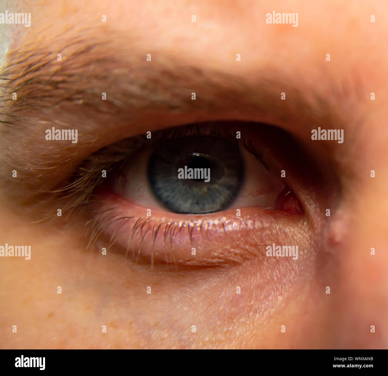 human eyes - men at close range Stock Photo - Alamy