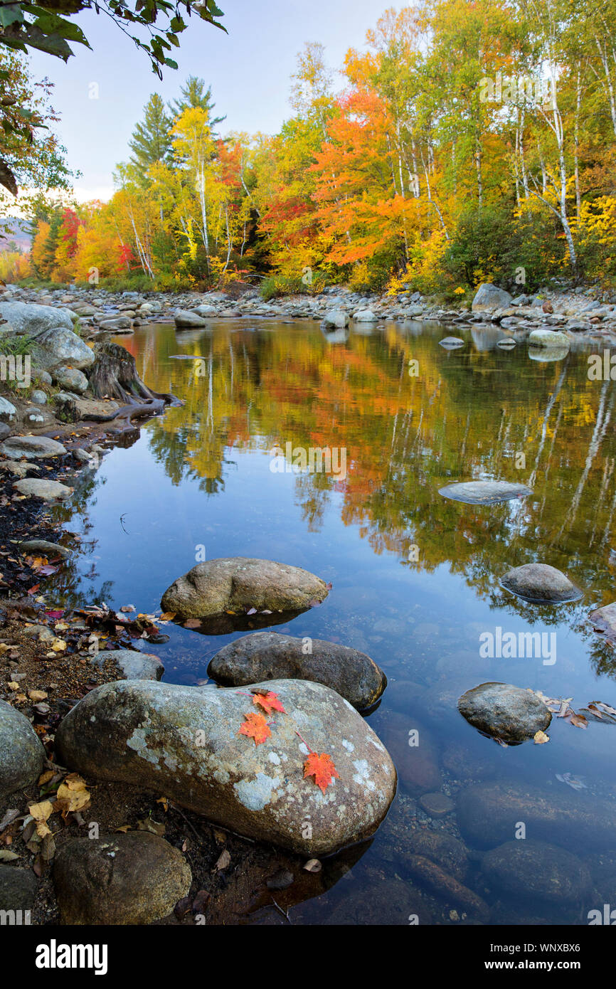 Fall colors reflect ponds and rivers during leaf-peeping moments in New ...